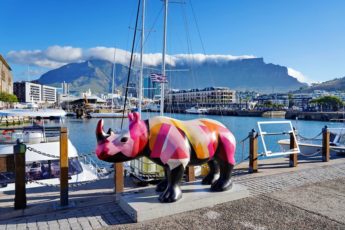 Ciudad del Cabo: cómo disfrutar a tope la ciudad más visitada de Sudáfrica