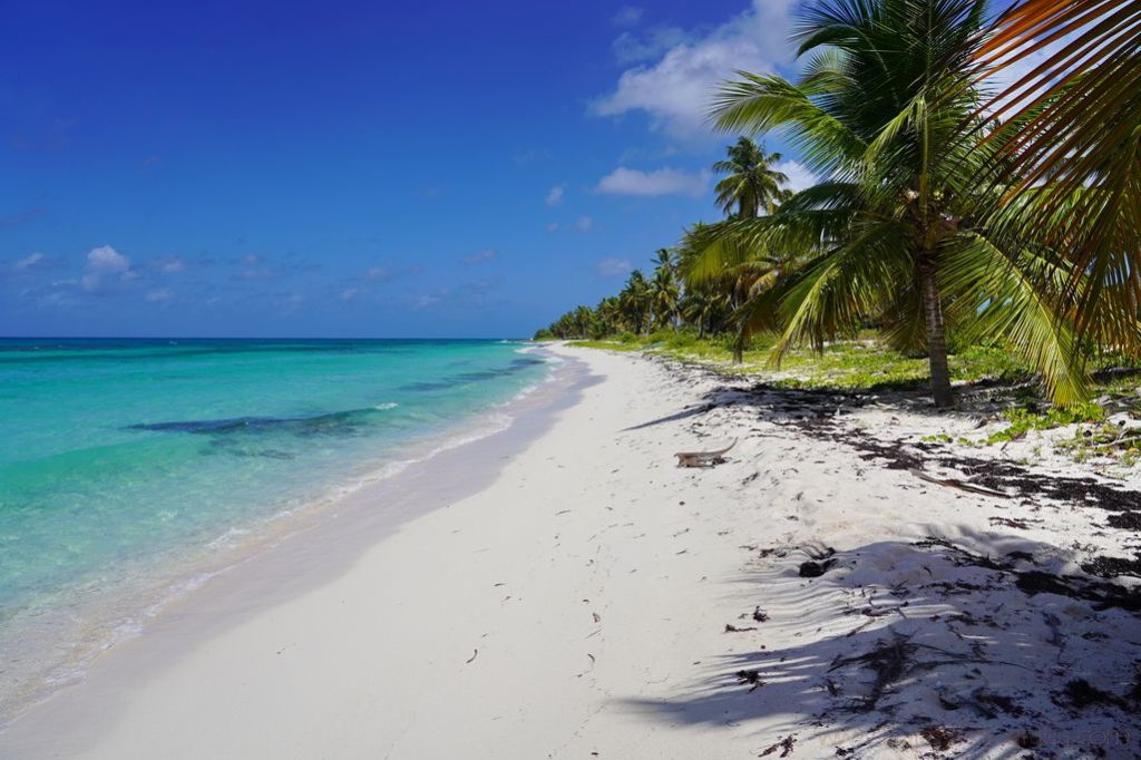 Excursión a Isla Saona, el Caribe soñado en la República Dominicana