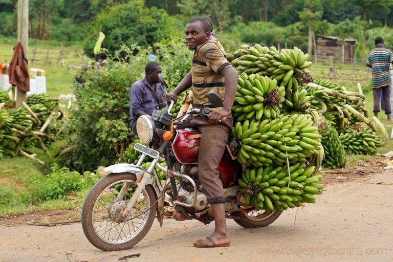 Uganda, un viaje fotográfico inolvidable a la "Perla de África"